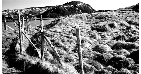 Life Through Pixels Wire Control