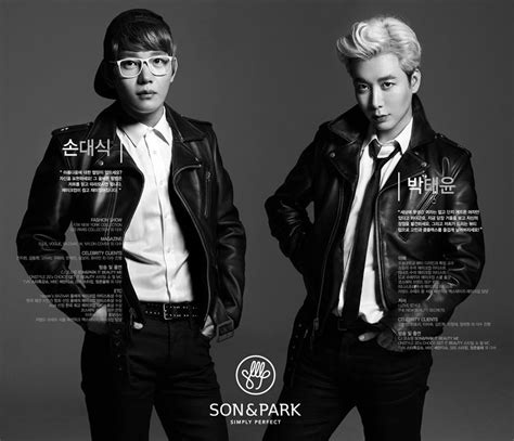 Son And Park Lip Crayon 9 Wicked Burgundy Korean Beauty Dream