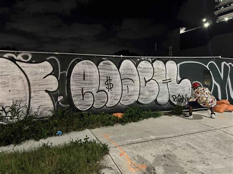 Roach Bombing Science Roachs Urban Art