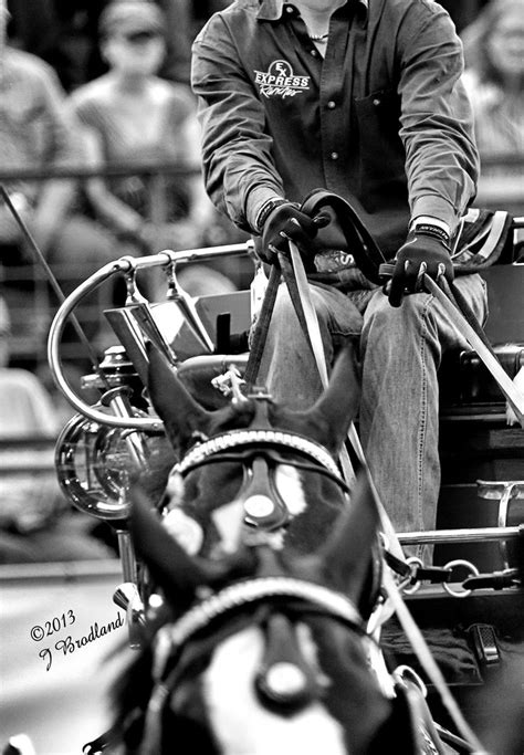 Express Clydesdales Under The Direction Of Josh Minshull Photo By J