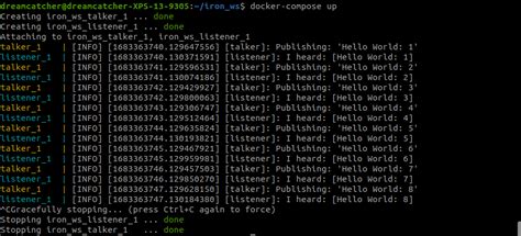 run 2 nodes in two separate docker containers · issue 1000 · osrf ros2