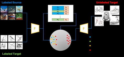 Framework Of Dynamic Feature Alignment Both Labeled Source And Labeled