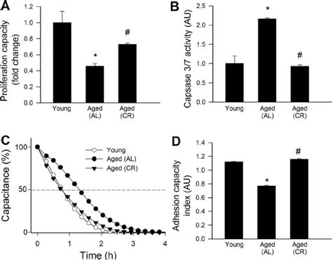 Cr Significantly Increases Proliferation And Adhesion Capacity And Download Scientific Diagram