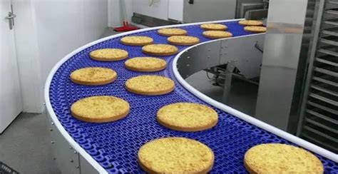 Food Processing Conveyors Capacity 100 Kgfeet At Rs 25000piece In