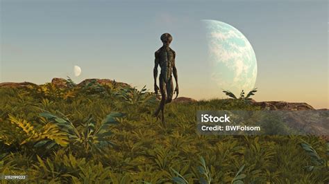 Illustration Of A Tall Thin Alien Walking Through Plants On A Hillside