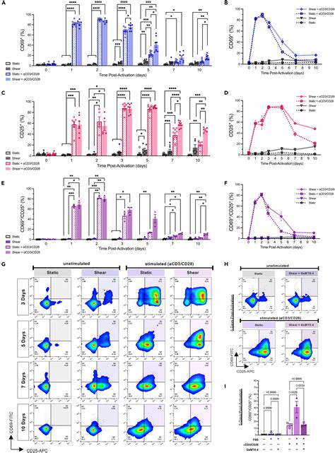 Enhanced And Sustained T Cell Activation In Response To Fluid Shear