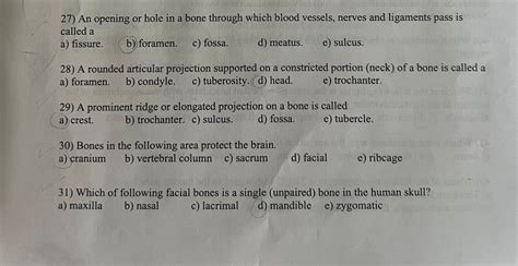 Answered 27 An Opening Or Hole In A Bone Bartleby