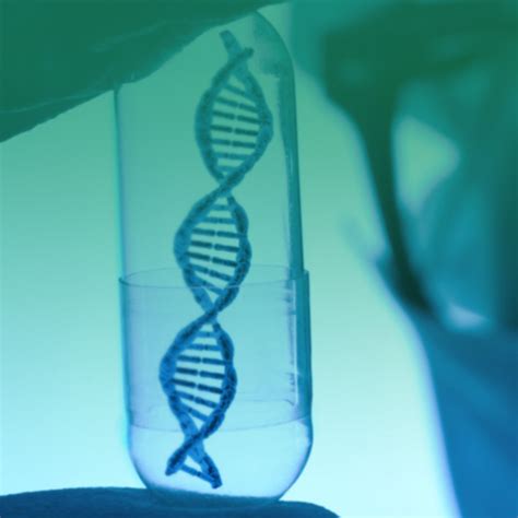 Molecular Diagnostics Asmtkh