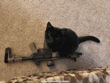 Cat With Gun S Tenor