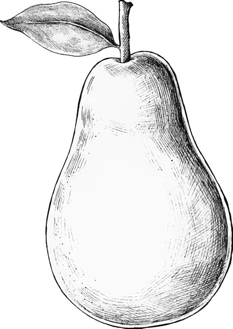 Ferienunterkünfte Obsthof Von Schassen Urlaub Am Deich Im Alten Land