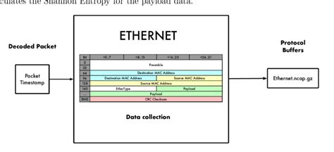 7 Netcap Ethernet Layer Encoder Download Scientific Diagram