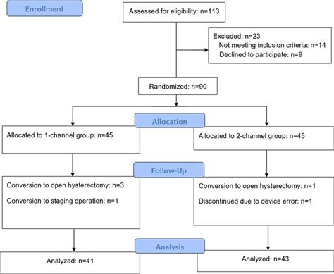 A Flowchart Describing Patient Recruitment Randomization And