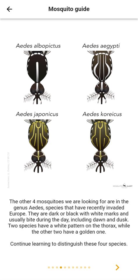 Citizen Science Using Your Smartphone To Help Monitor Mosquito Activity