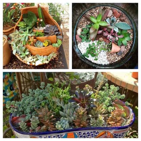 Mini Jardim 45 Ideias Criativas Que Vão Fazer Você Se Apaixonar