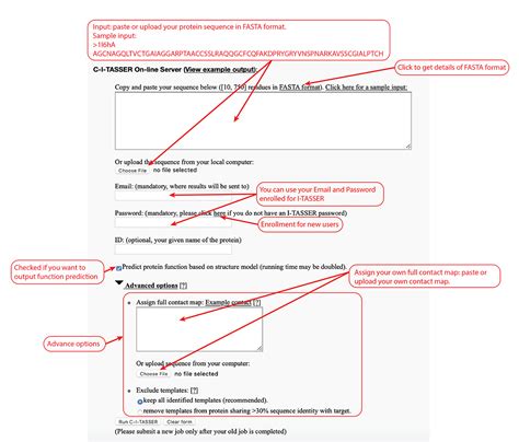 C I Tasser Help Page