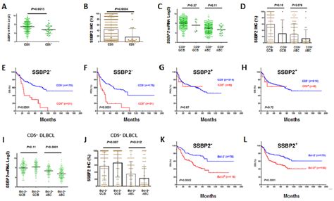 Correlation Between Cd5 And Ssbp2 Expression In Dlbcl A D Cd5 Download Scientific Diagram