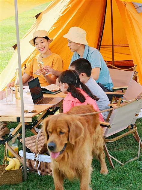 快乐的四口之家和宠物狗在户外露营图片下载 花瓣网