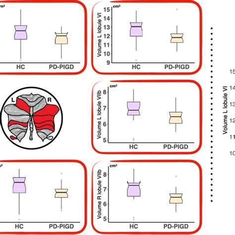 Structural And Functional Mri Assessment Preprocessing And Analysis
