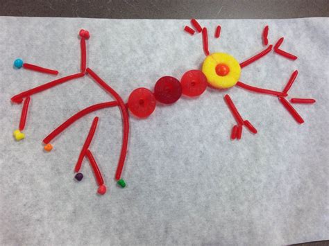 Candy Neurons Our Virtual Classroom