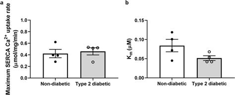 Serca Activity In Non Diabetic And Diabetic Rat Myocardium A The Download Scientific Diagram