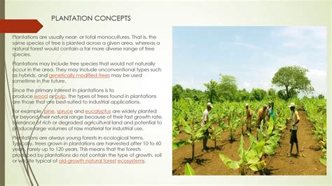 Agriculture Examples Geography At Lynne Griffin Blog