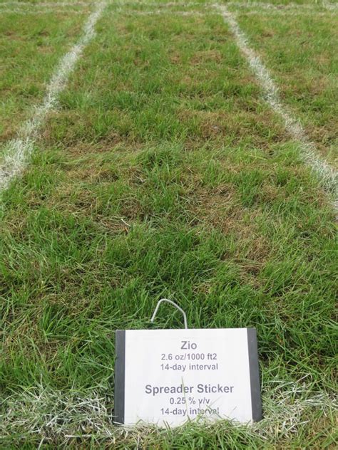 Summer 2017 Pythium Blight Turfgrass Diagnostic Lab Summer 2017 Pythium Blight Turfgrass Diagnostic Lab