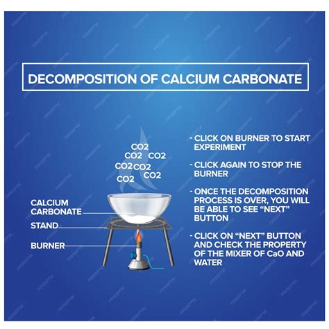 Premium Vector Decomposition Of Calcium Carbonate Vector Illustration