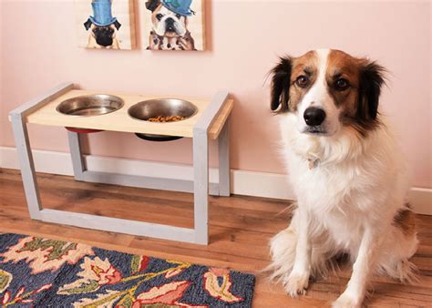 20 Diy Dog Bowl Stand Plans And Ideas Learn How To