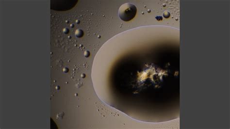 Sonic Landscape 1 Youtube