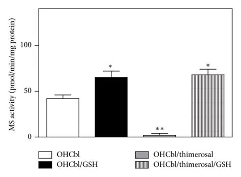 Thimerosal Inhibition Of Ms Activity In Sh Sy5y Cells A
