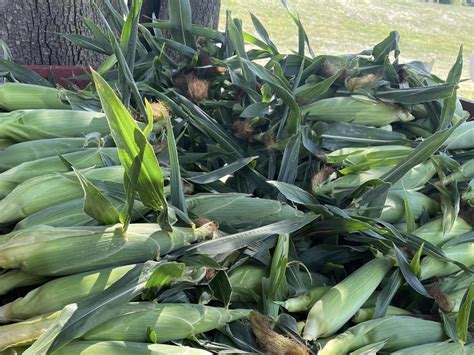 Seasonal Crops Fresh Produce Flint And Otisville Mi Johnson Farms