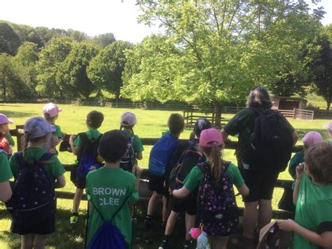 Bodenham Arboretum Trip Brown Clee Ce Primary School