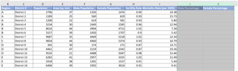 How To Analyze Demographic Data In Excel Sheetaki
