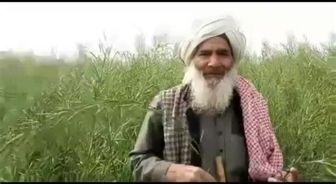 Rajesh Kalathil On Linkedin Jk Saathi Farmer Jk 6901 Excellent Variety