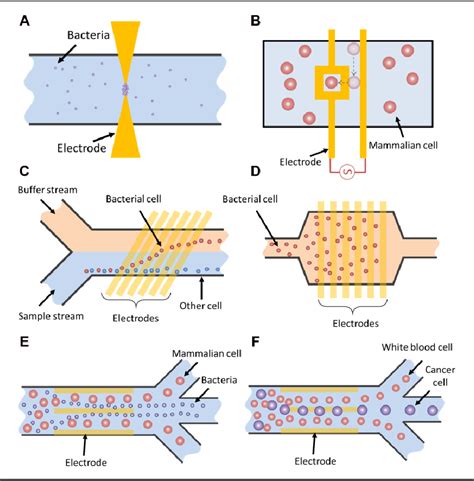 Figure 5 From Ac Electrokinetics Of Physiological Fluids For Biomedical Applications Semantic