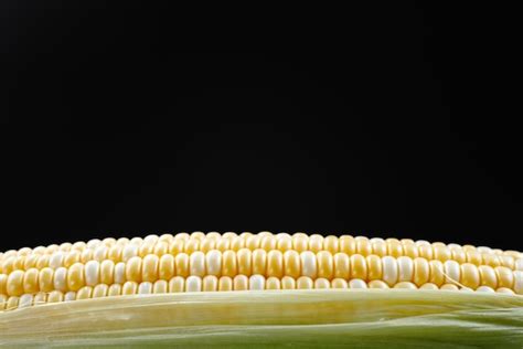 Premium Photo Raw Corn In Closeup Corn Kernel On Black Background