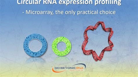 The Only Practical Choice For Circular Rna Profiling Arraystar
