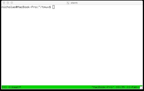 Does Python Script Stop If Ssh Server Closes Terminal Be On The