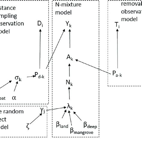 diagram of the hierarchical bayesian model used in the analysis dotted