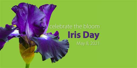 Iris Day Melnor Inc