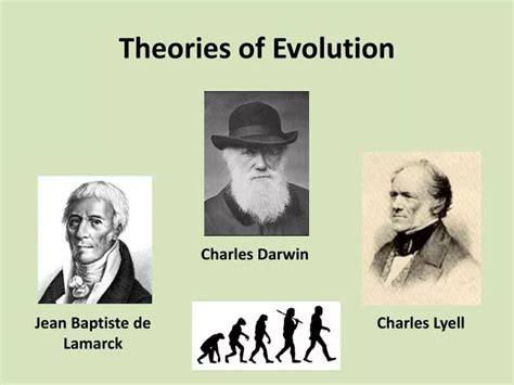 Ppt Theories Of Evolution Powerpoint Presentation Free Download Id