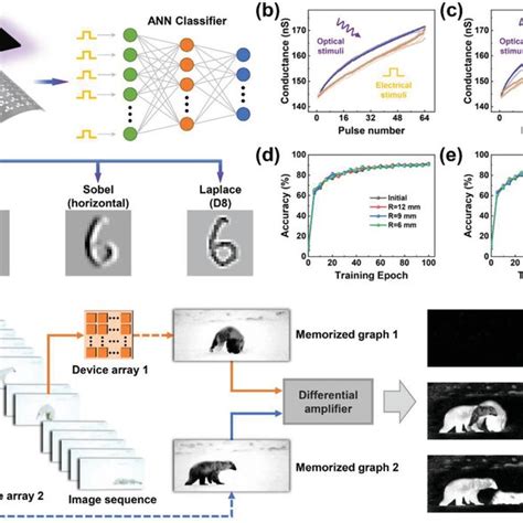 Pattern Recognition And Motion Detection A Schematic Diagram Of The Download Scientific