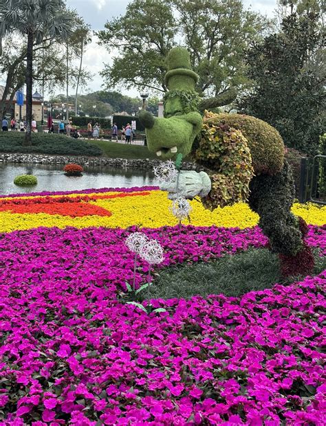 Total Embarrassment Mylot