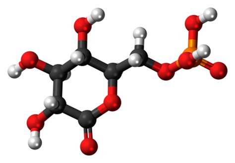 Phosphogluconolactone Molecule Model Chemistry Compound Free Image From