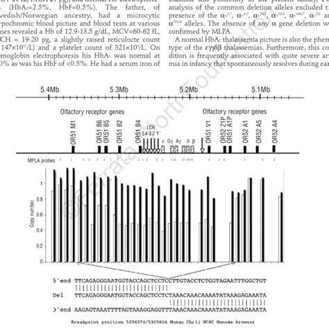 Diagram To Illustrate The Structure Of The β Globin Gene Cluster And