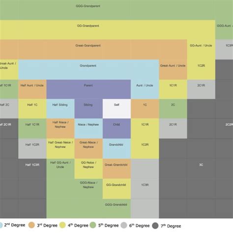 Examples Of Degrees Of Human Genetic Relationships Adapted From Dna Download Scientific