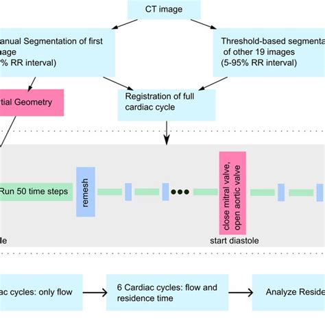 Workflow Figure Describing Image Processing Mesh Creation And Flow Download Scientific Diagram