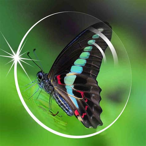 161 Aspherical Spectacle Lens Myopia Glasses With Grandado