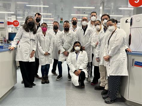 Ilse Capozzi Posted On Linkedin