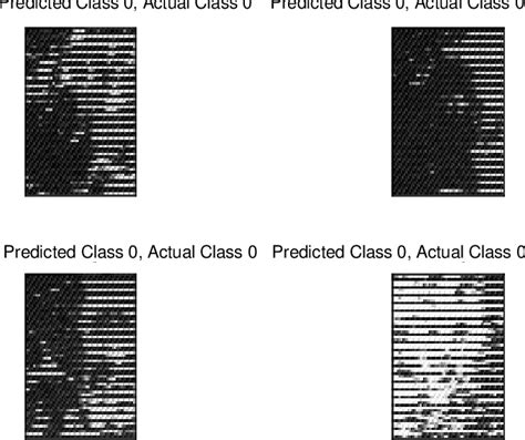 Figure 7 From Convolutional Neural Network For Ground Coffee Particle